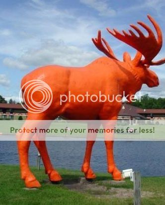 Absolutely Orange — LiveJournal