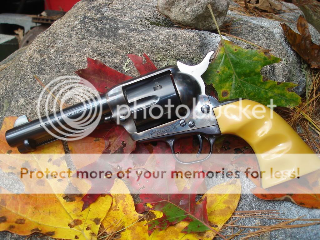 fall colors | The Firearms Forum